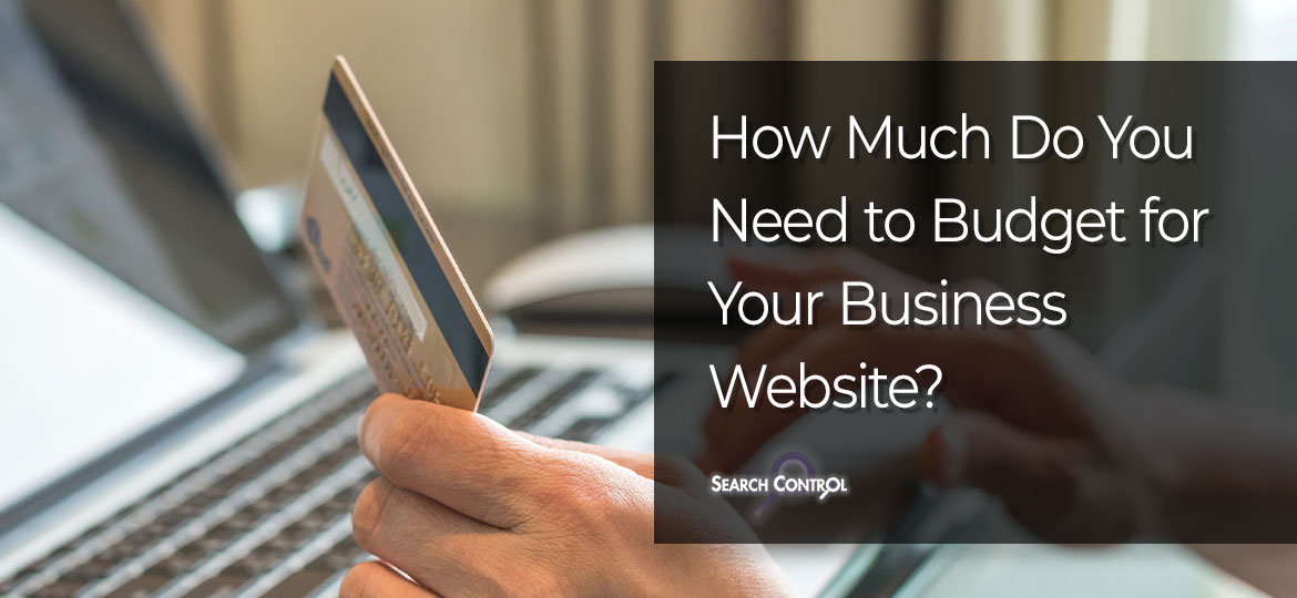 How Much Do You Need to Budget for Your Business Website?